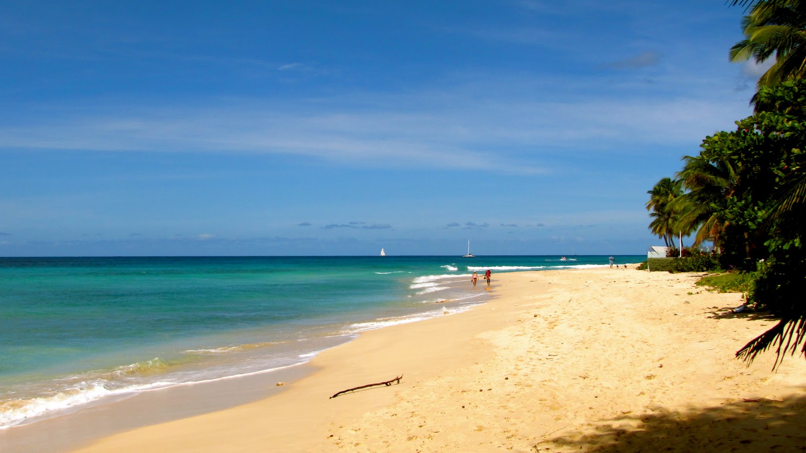 Loop Barbados: Welcome to Loop Barbados