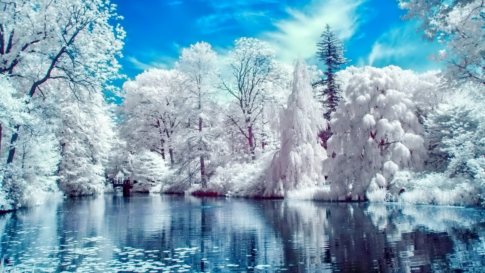 Prachtig winter landschap sneeuw