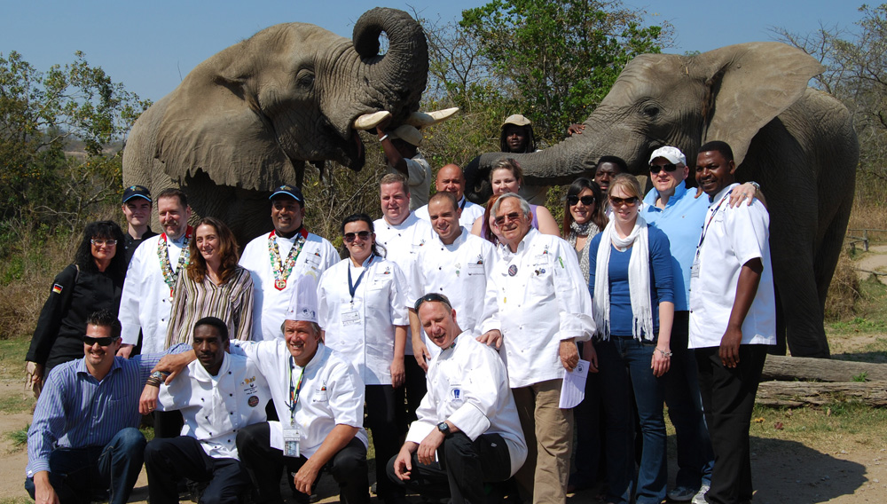 Radu Zarnescu: Africa de Sud 2011