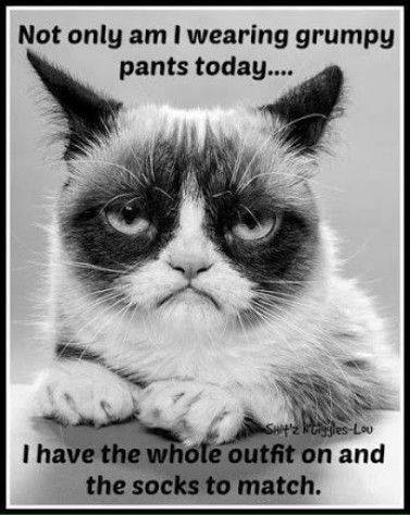All That Spam: Not Only Am I Wearing Grumpy Pants Today