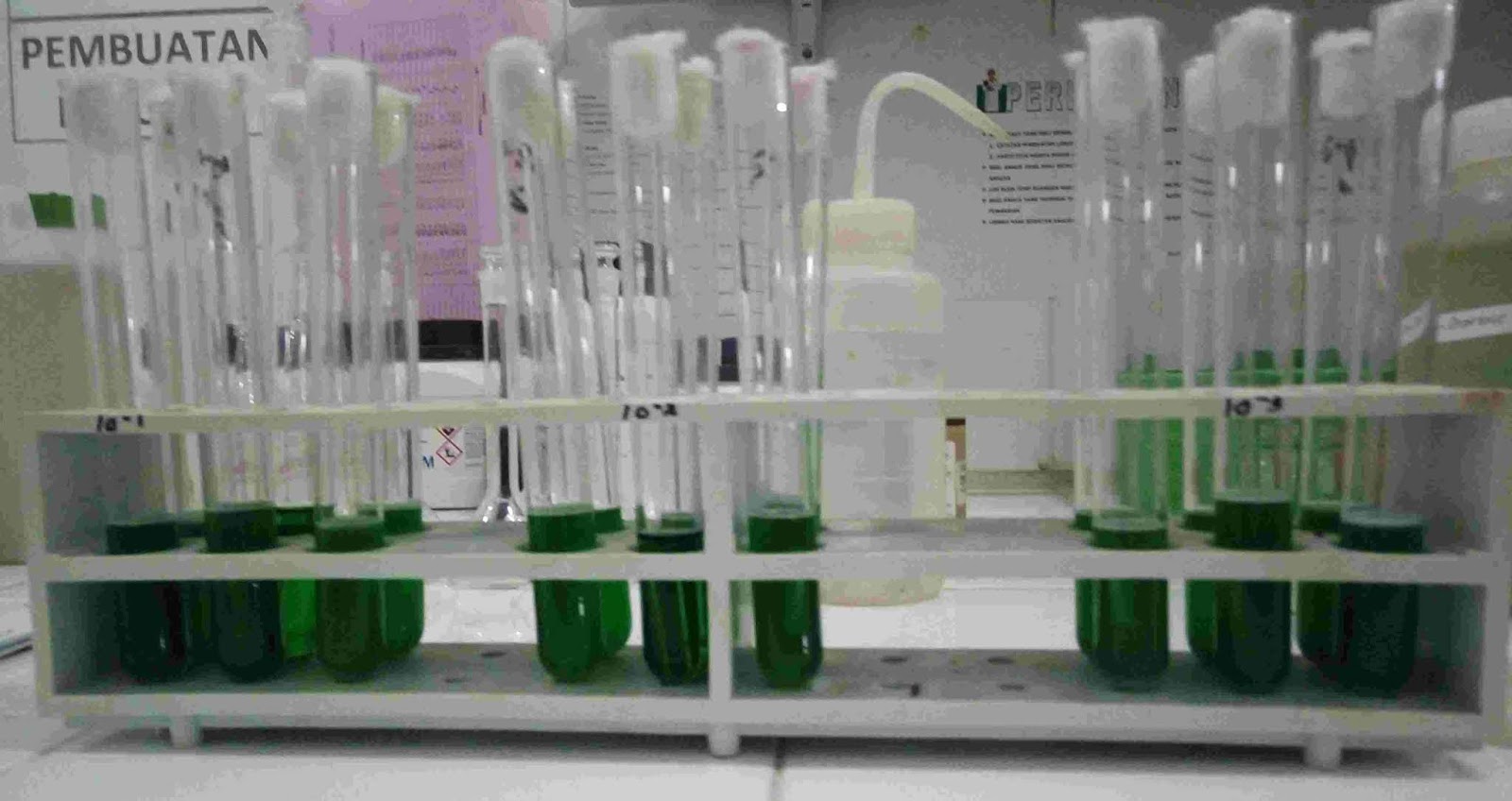 Uji Bakteri Coliform/Total Coli | Metoda Angka Paling Mungkin (APM ...