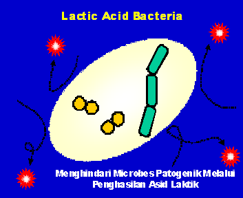 EM-1: Effective Microorganisms (EM™)