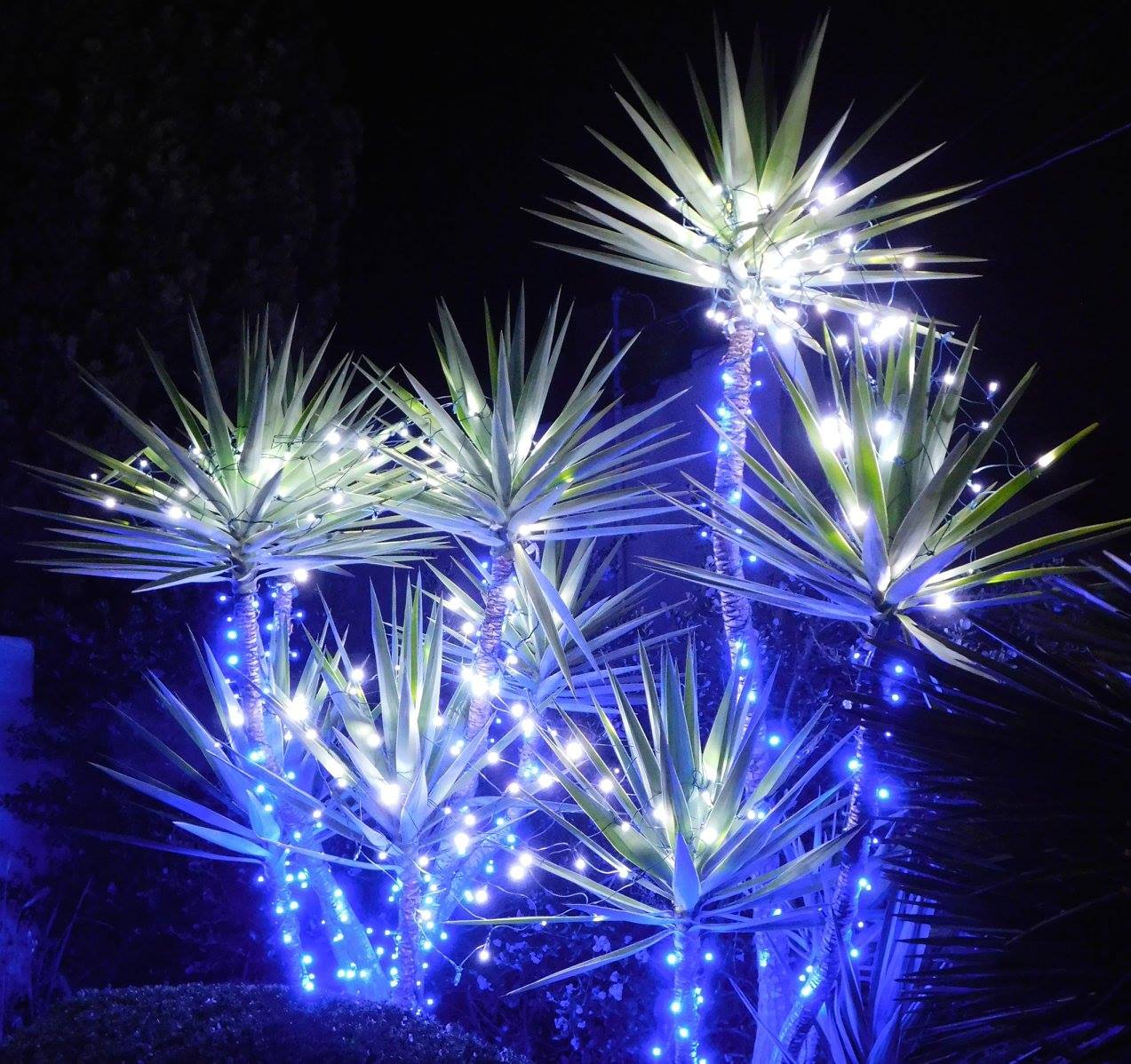 Writerville: Kinds of Blue