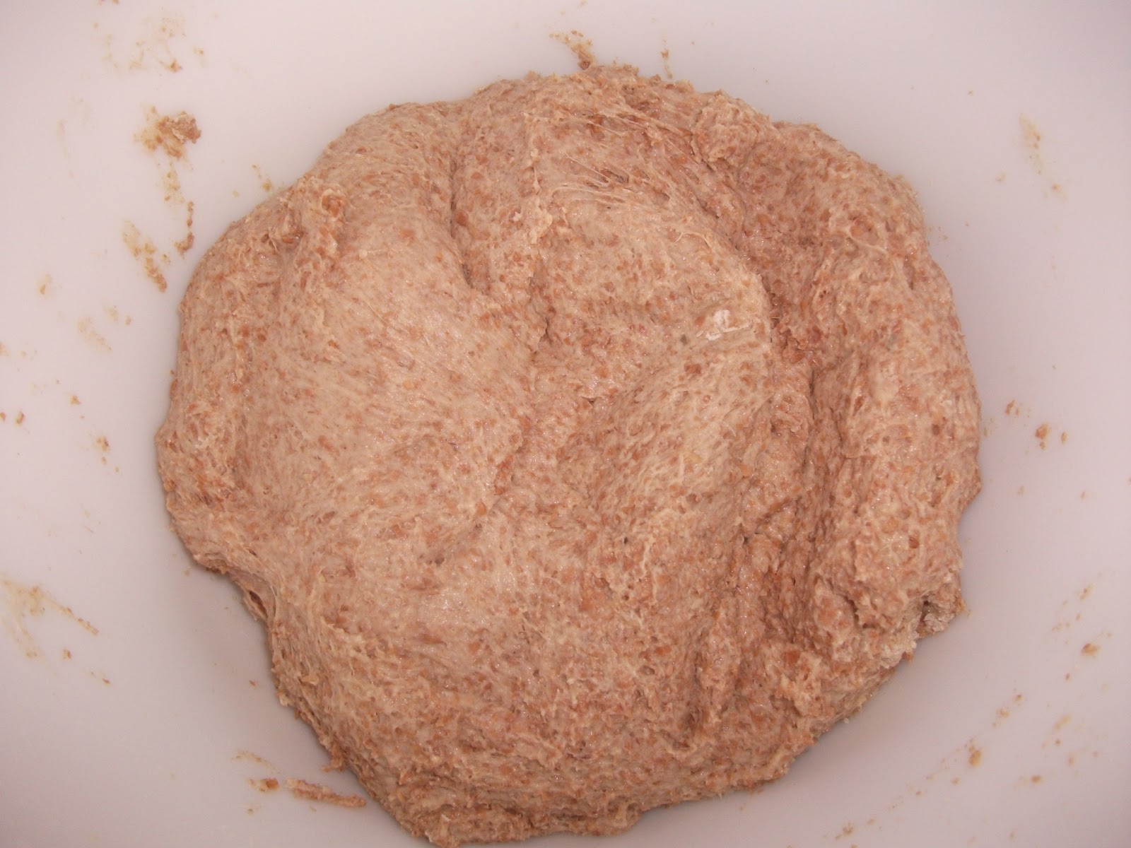 BreadMan Talking: Whole Wheat Bran Bread