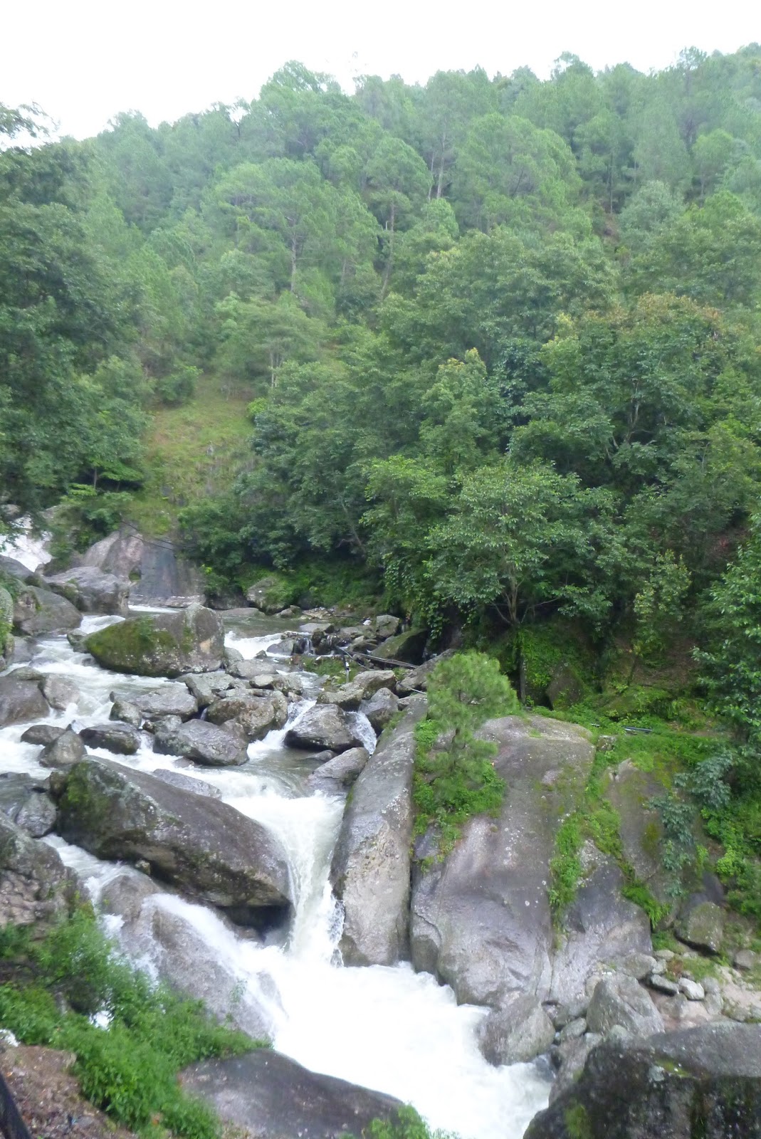 Journeys, Stories and More: Budhanilkantha to Sundarijal, Shivapuri ...