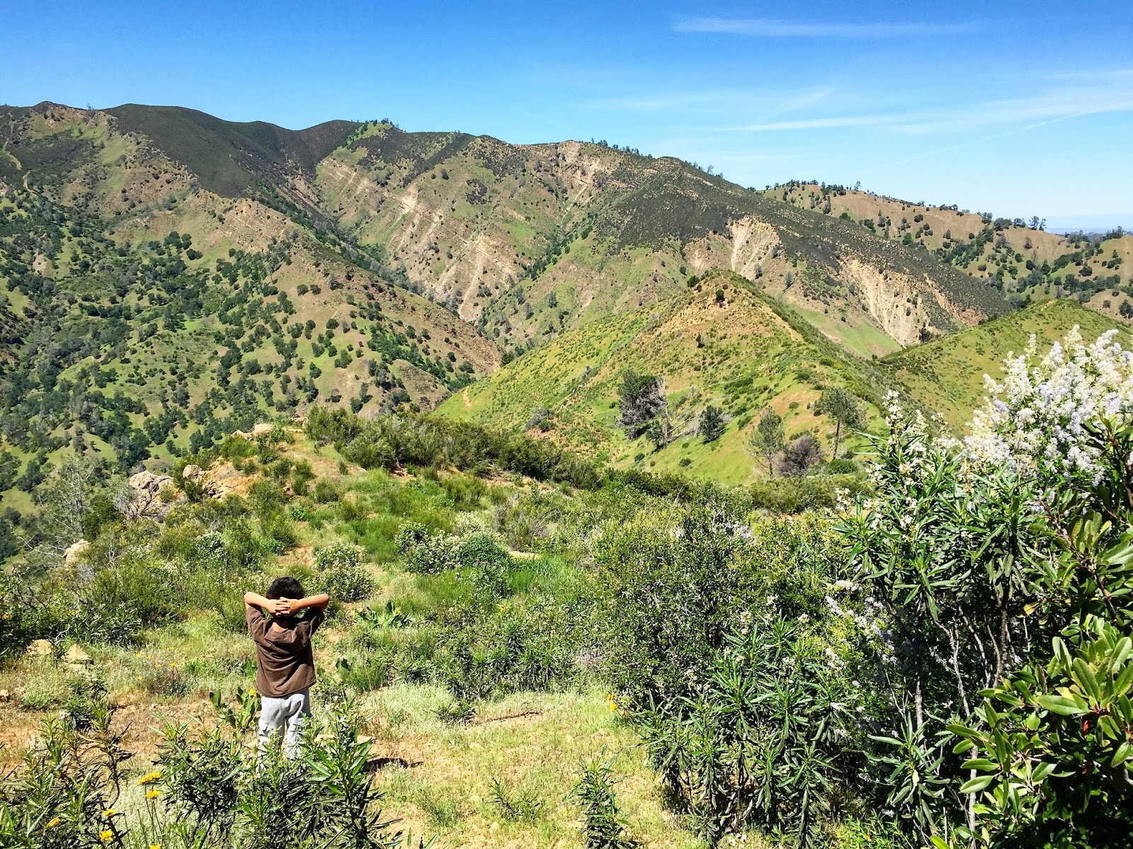 Run-Hike-Play: Valley Vista Trail Hike with the Fam