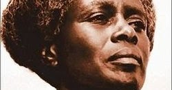 Wide Screen World: The Autobiography of Miss Jane Pittman