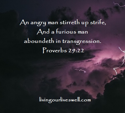 Living Our Lives Well: Proverbs 29 Scripture Pictures