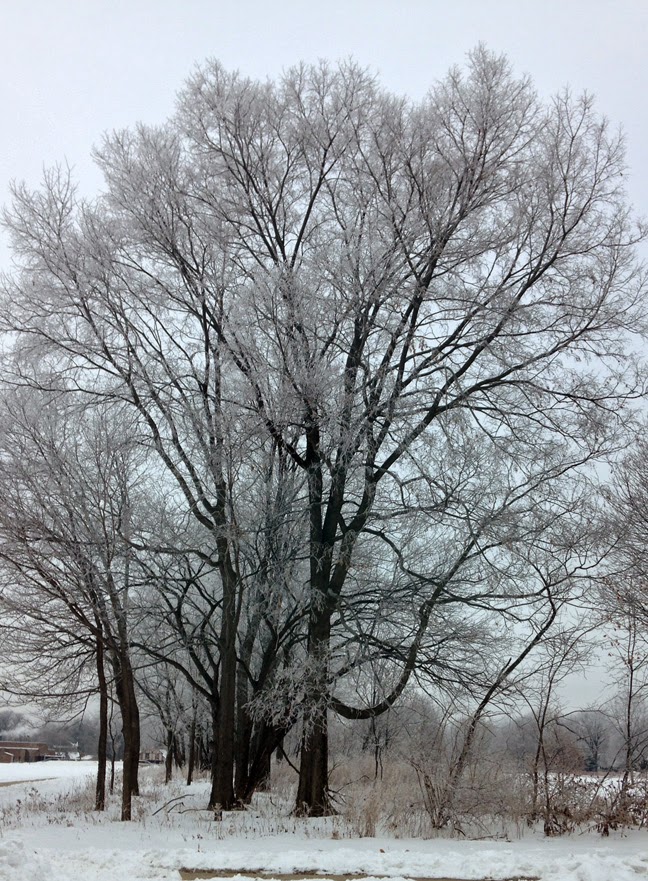 Connections by Karen S Musgrave: March 2015