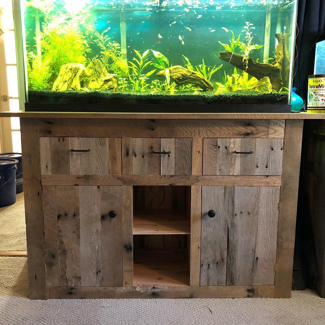 Fish Freshwater Aquarium Equipment and Supplies