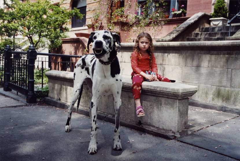 The Reel Foto: Robin Schwartz: Amelia's World Of Wonderful Animals