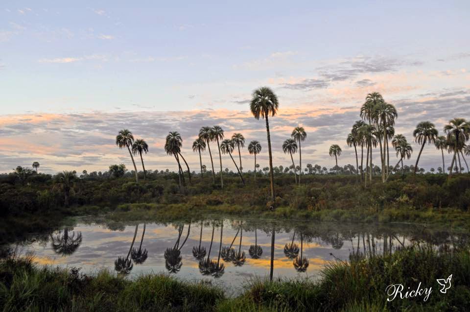 RiCKy: Reflejando la Historia del Palmar