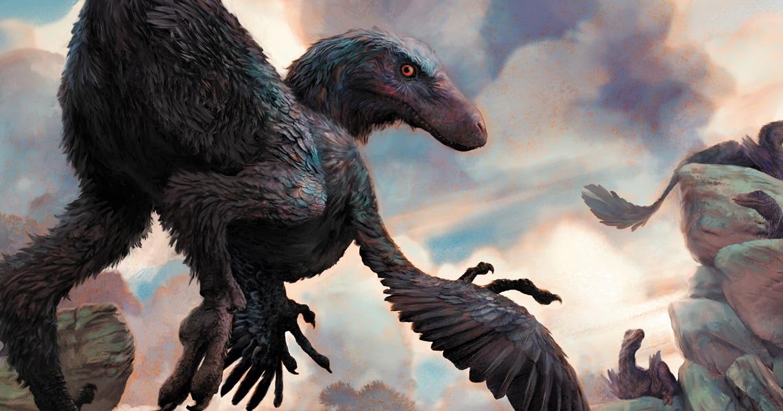 Origen y evolución de las aves