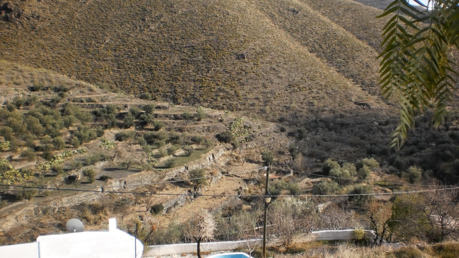 LA ODISEA DE LOS DÍAS: OLULA DE CASTRO (SIERRA DE LOS FILABRES, ALMERÍA ...
