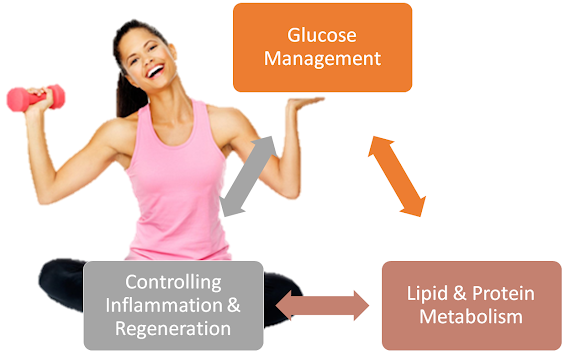 Take Control of Your Cortisol Levels - Use These 5x Stress-Modulating ...