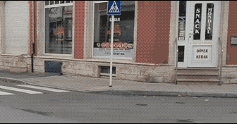 Funny animal gifs - part 333 (10 gifs) | Amazing Creatures