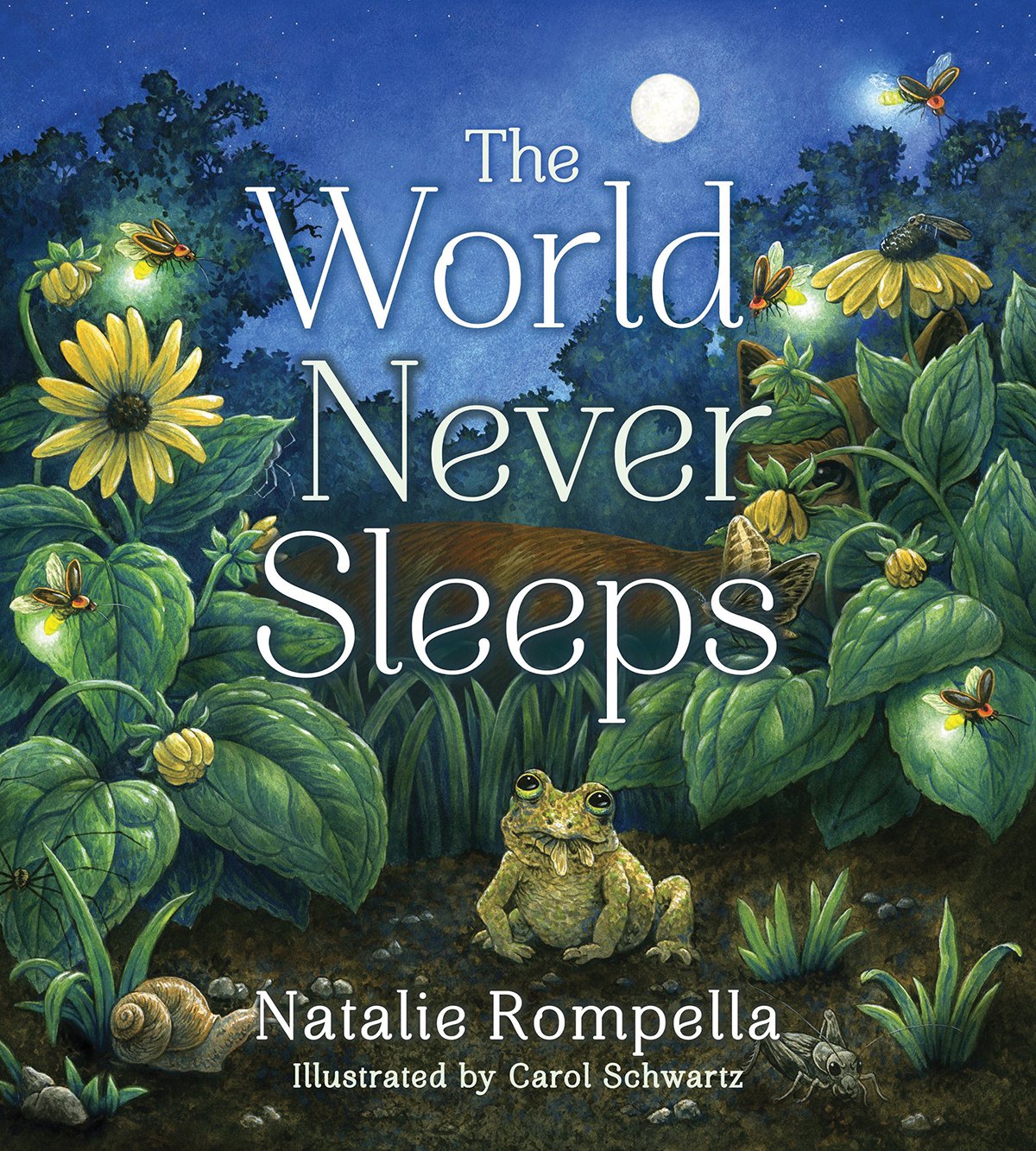 Sense Of Misplaced Children s Book Review The World Never Sleeps sense-of-misplaced-children-s-book-review-the-world-never-sleeps