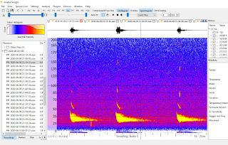 Bat Detector Reviews: Review Of The Titley Anabat Swift Part 3 Of 3 ...