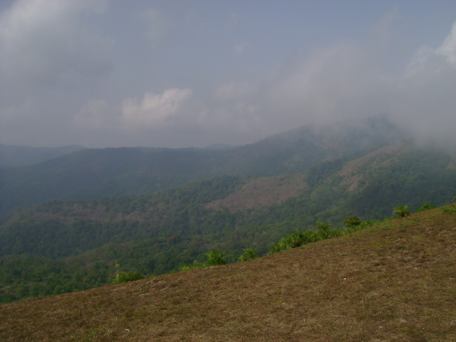 nelliyampathi (kerala tourism images)Palakkad