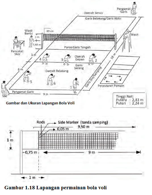 Gambar dan Ukuran Lapangan Bola Voli Lengkap - Jawaban SoalMu