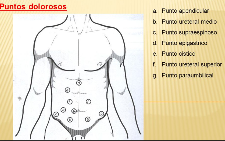 Examen físico del abdomen