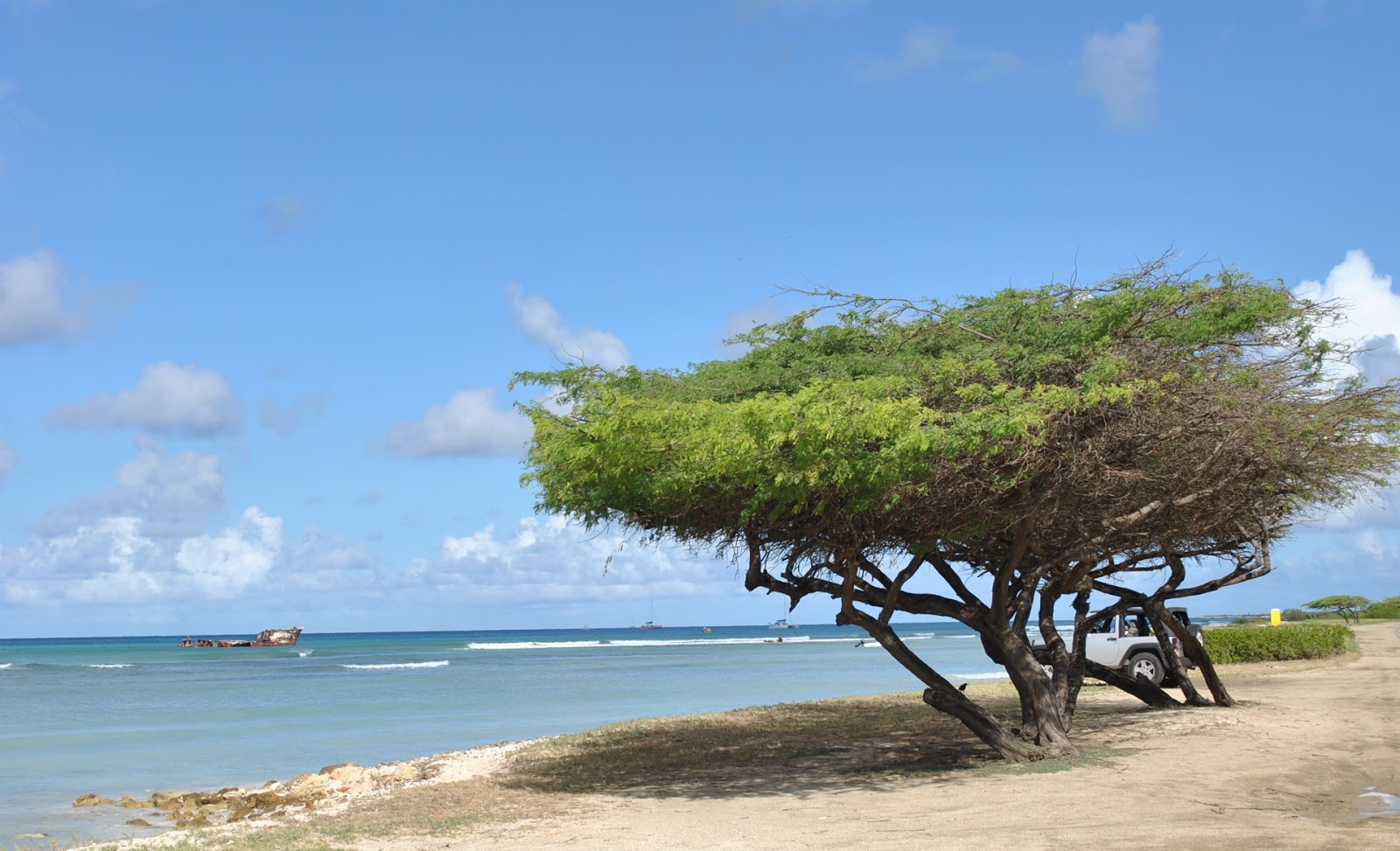 As ilhas ABC: Aruba, Bonaire e Curaçao! - Dani Turismo