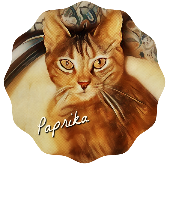 Peaches and Paprika: Paprika - "Artsy Cat"