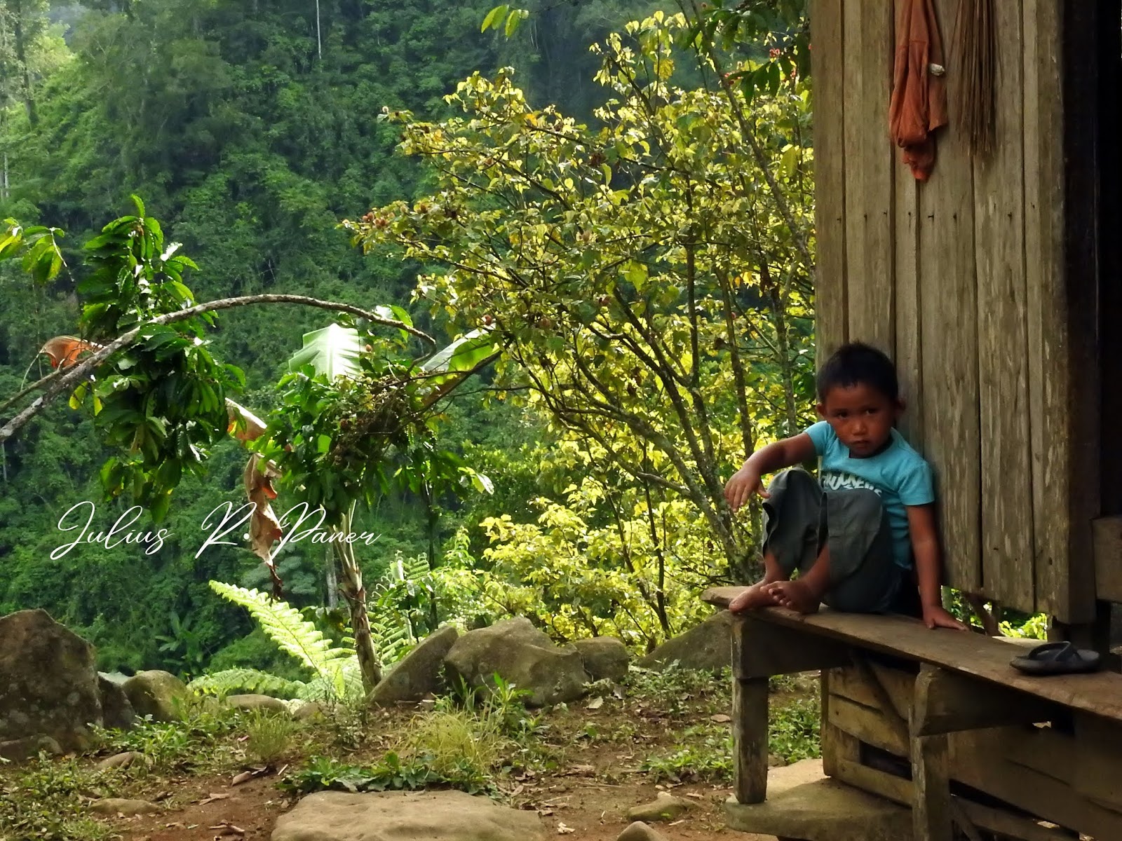 LOGSAC: The Obo-Manobo Lifescape of Salaysay, Marilog District