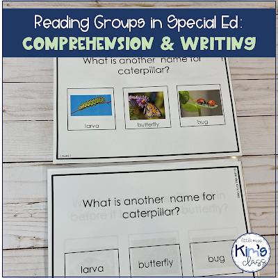 Little Miss Kim's Class: Reading Groups in Special Education: Working ...