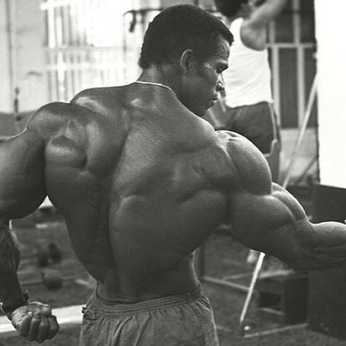 Worldwide Bodybuilders: Muscle King from France Serge Nubret