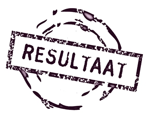 Rob Segers: Coachen - Het resultaten-model