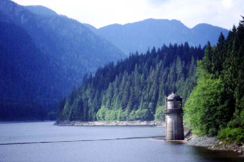 Grade 4 Blog: Coquitlam Watershed Field Trip