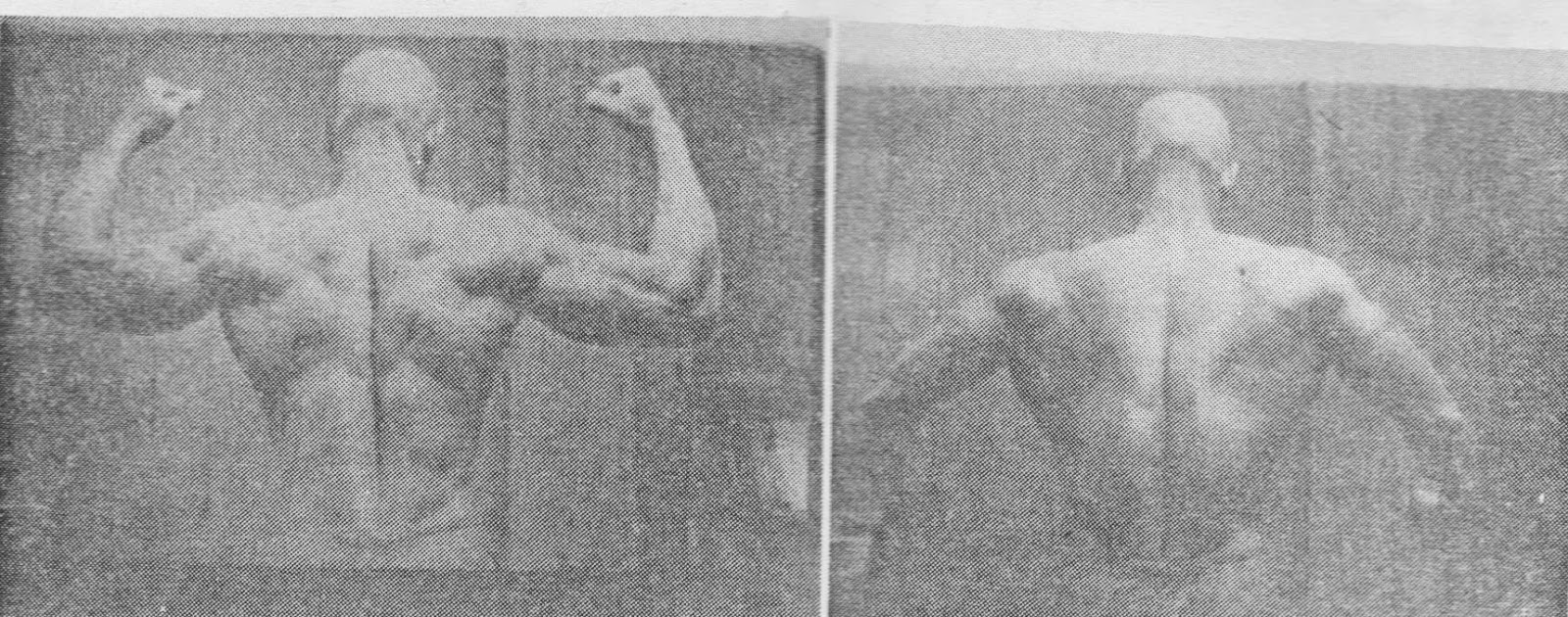 The Tight Tan Slacks of Dezso Ban: How I Train the Deadlift - Don Blue ...