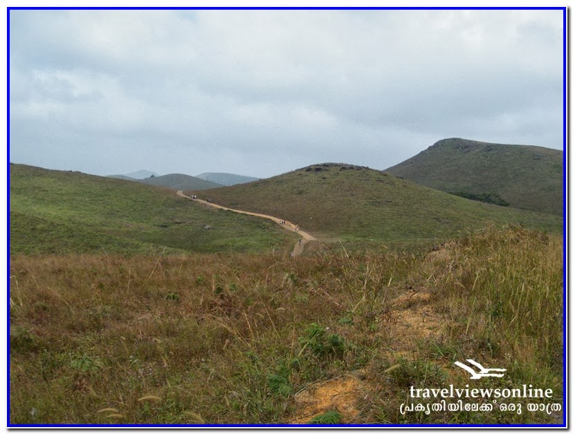 പ്രകൃതിയിലേക്ക് ഒരു യാത്ര (a travel towards NATURE): PULLUMEDU a unique ...