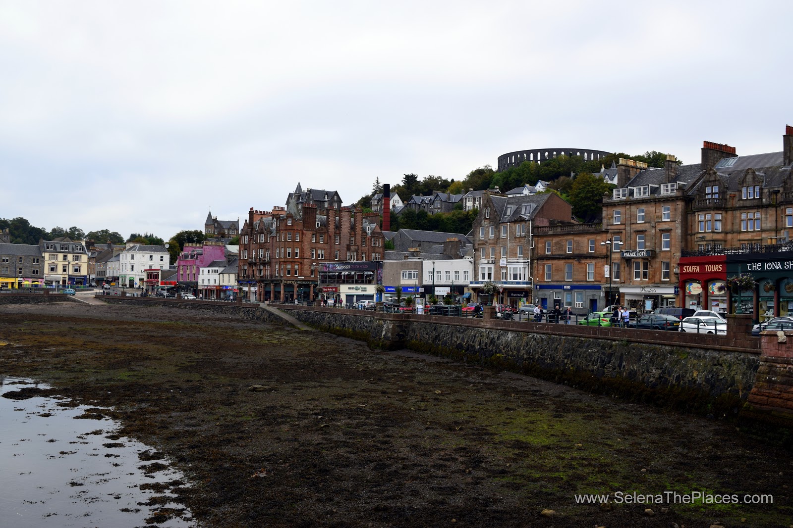 Oh, the places we will go!: A Coo & a Castle in Oban, Scotland