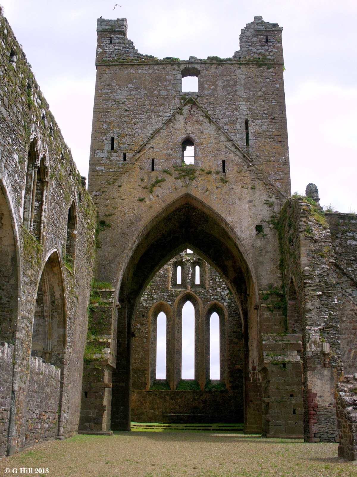 Ireland In Ruins: Dunbrody Abbey Co Wexford