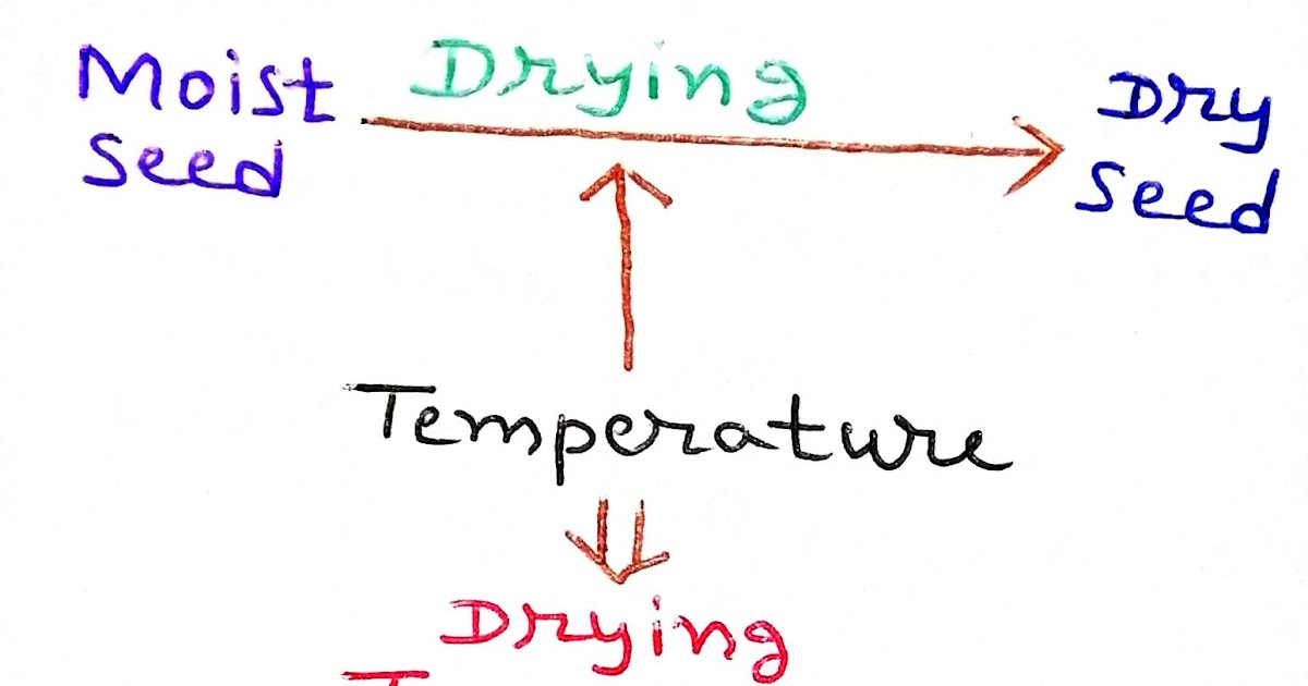 Seed Drying: Principles and Methods