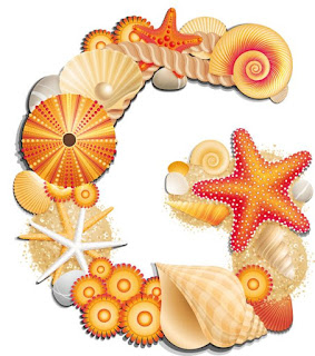 Escuela infantil castillo de Blanca: ALFABETO CON CONCHAS