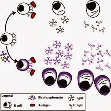 Scientificando: ottobre 2013