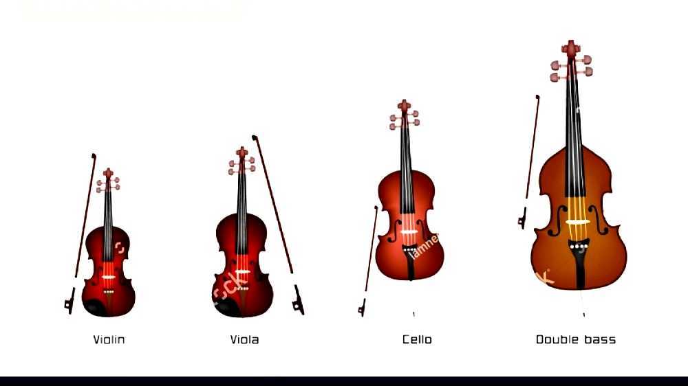 Basic physics of the violin