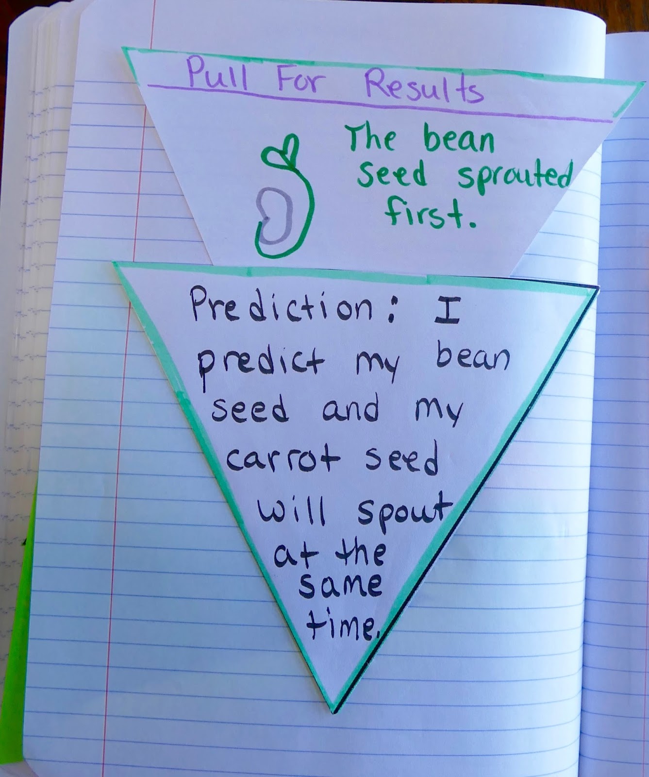 Pull Out and Sliding Inserts for Interactive Notebooks - Teaching ...