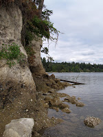 Gravel Beach: Pitt Island
