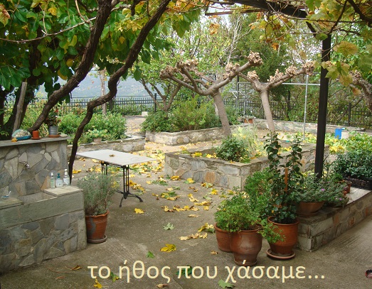 TΟ ΗΘΟΣ ΠΟΥ ΧΑΣΑΜΕ...