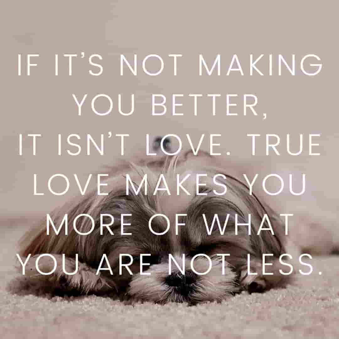 How to conceal your love for someone you dearly loved Quotes