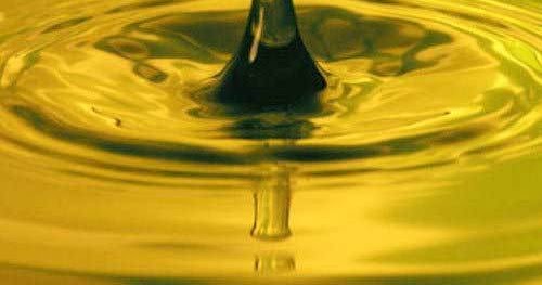 Biolubricants Market