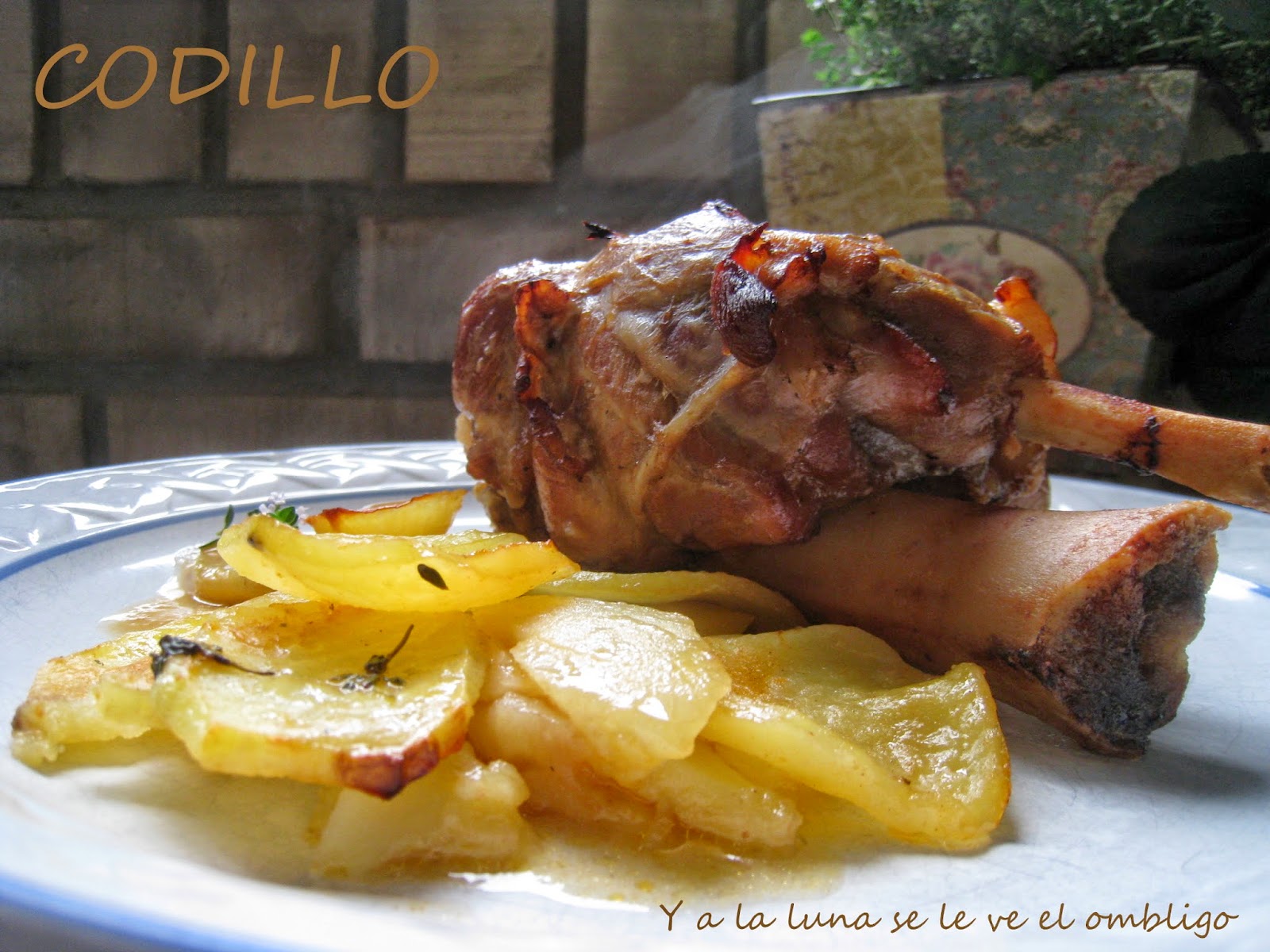 Y a la luna se le ve ve el ombligo...: Codillo al horno con salsa de ...