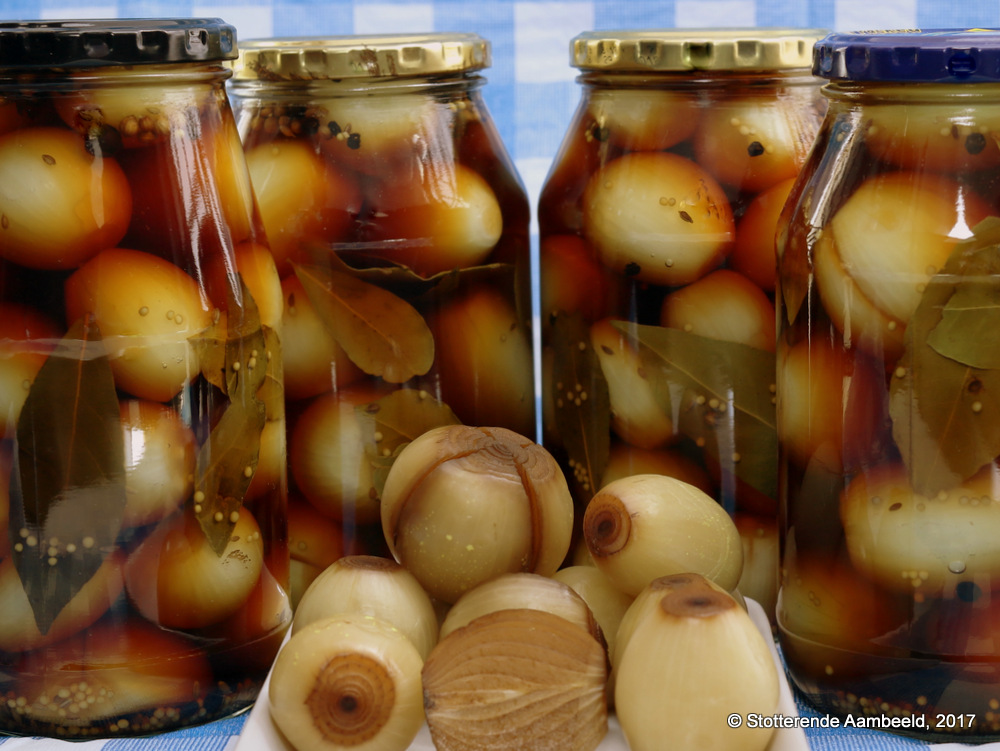 Die Stotterende Aambeeld: RESEP : Ingelegde Suuruitjies