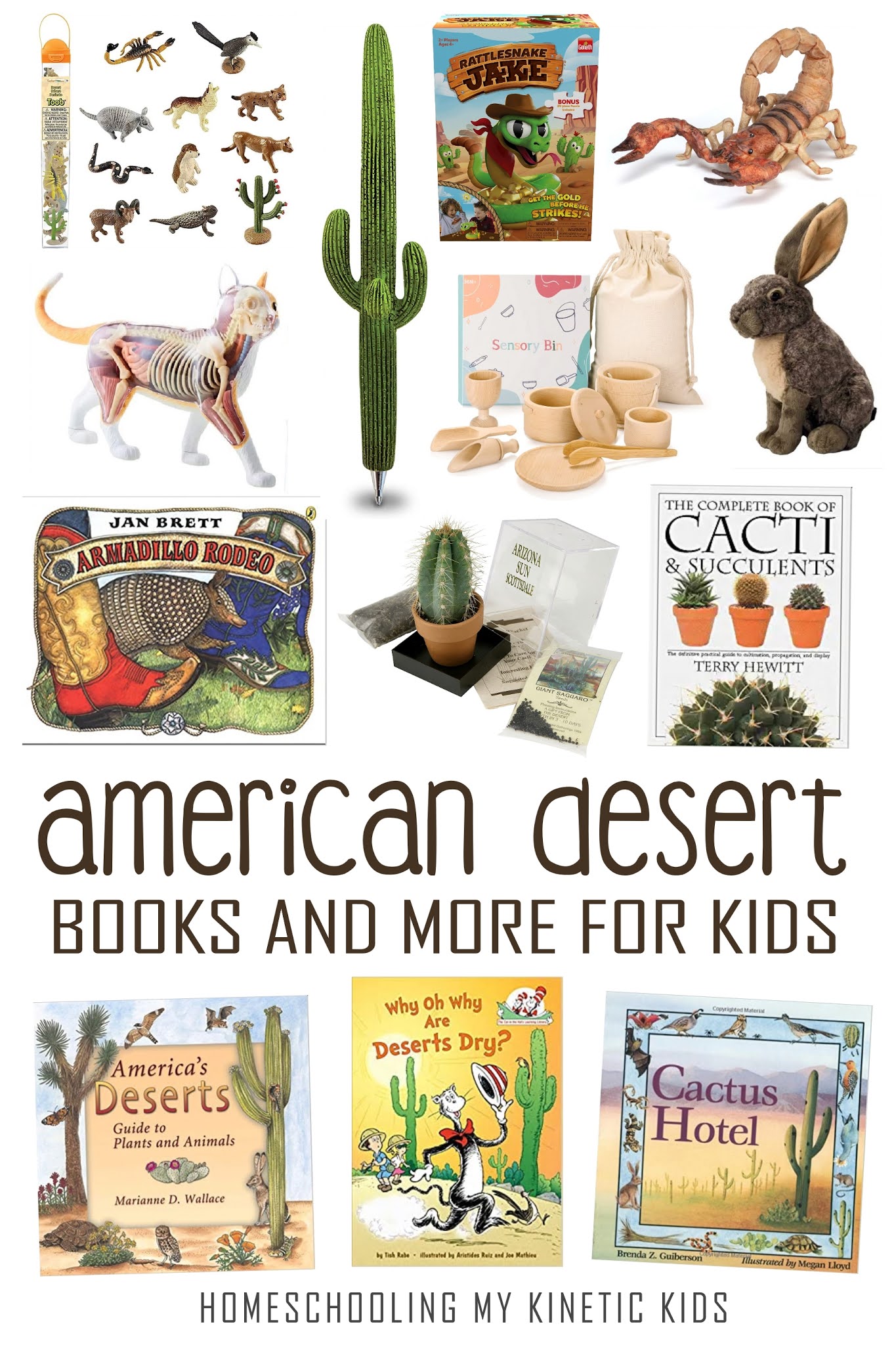 Desert Animals And Plants For Kids