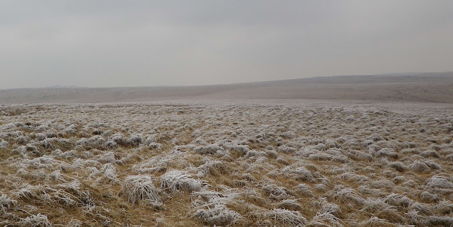 My Dartmoor Walks: Tuesday 26th March Cranmere Pool