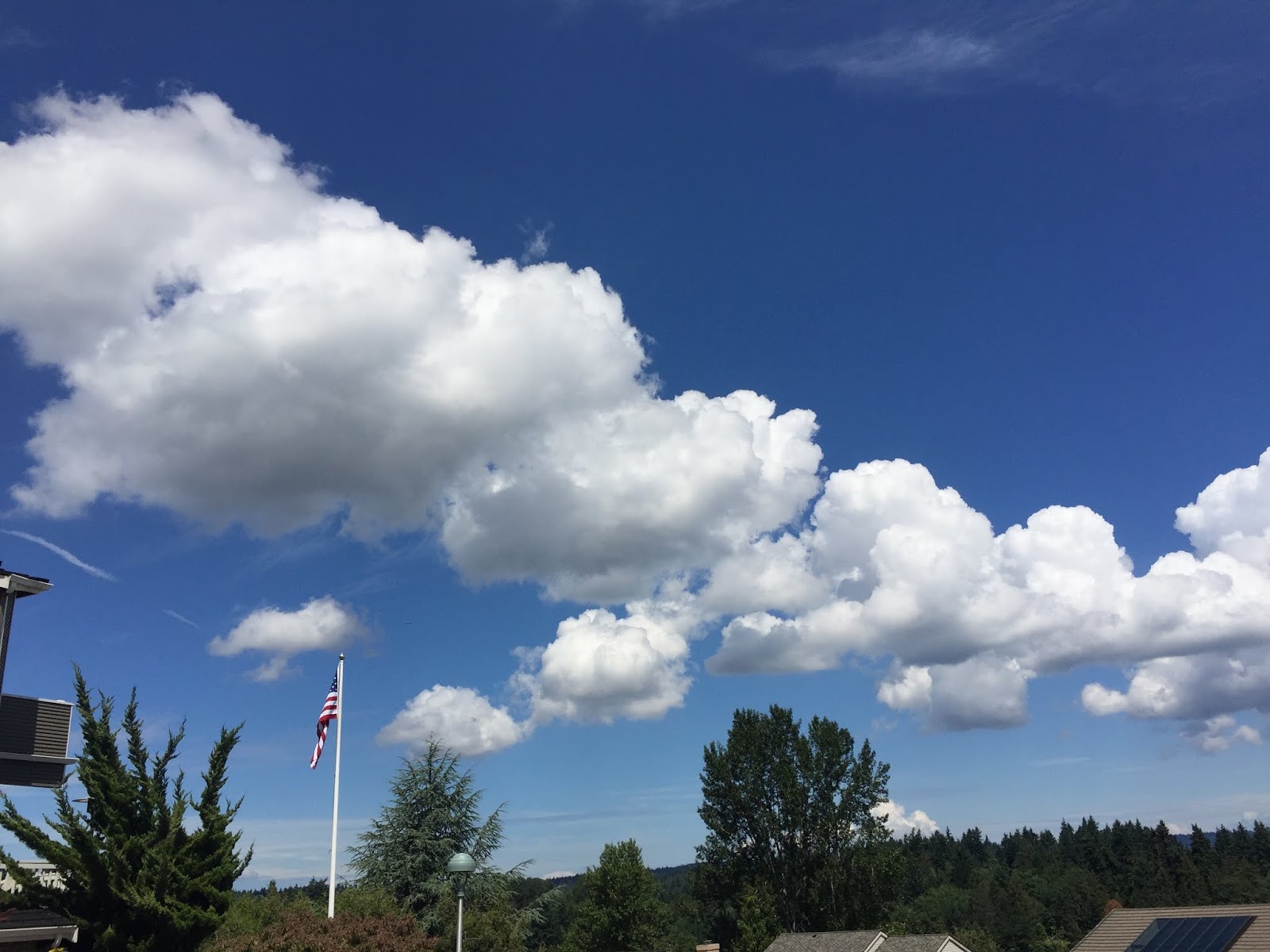Cliff Mass Weather Blog: Freezing Temperatures and Puffy Cumulus Clouds